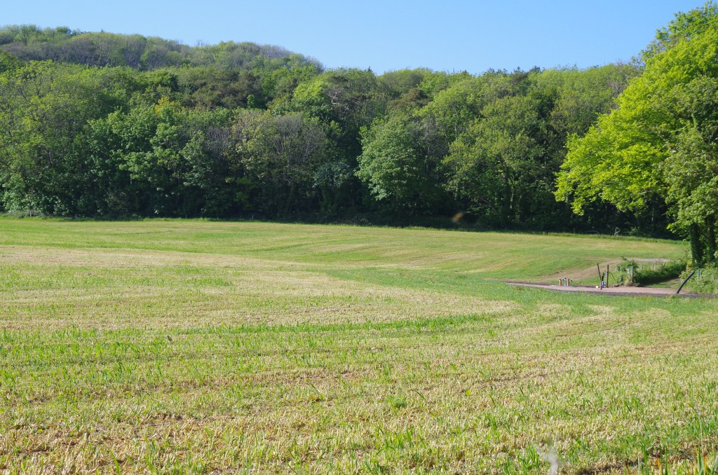 Tent Pitches – Ringstead Bay Camping
